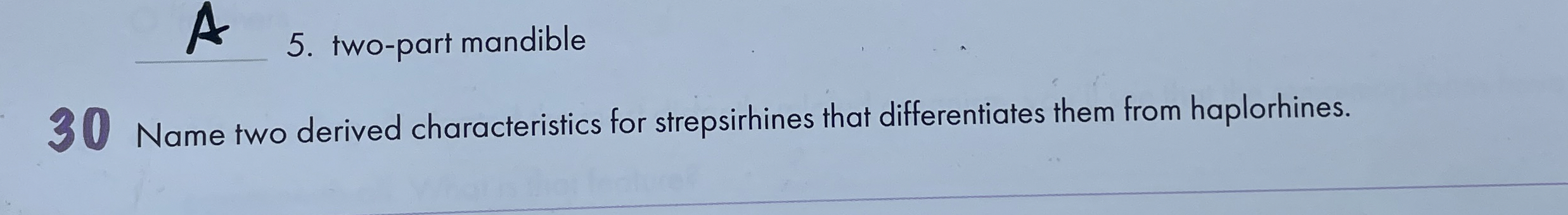 A5. ﻿two-part mandible30 ﻿Name two derived | Chegg.com