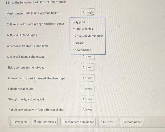 Solved Match the following to its type of inheritance: Most | Chegg.com