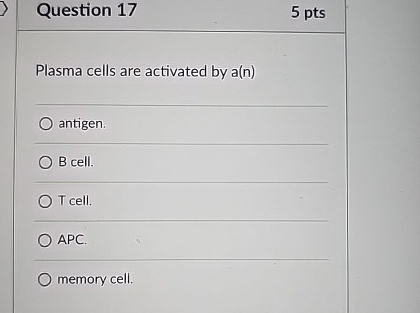 Solved Question 175 ﻿ptsPlasma cells are activated by | Chegg.com