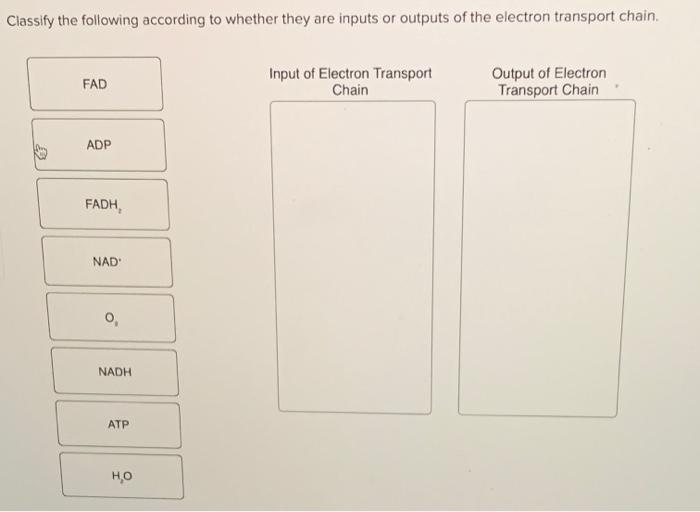 Solved Classify The Following According To Whether They Are 