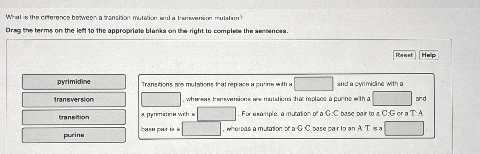 Solved What is the difference between a transition mutation | Chegg.com