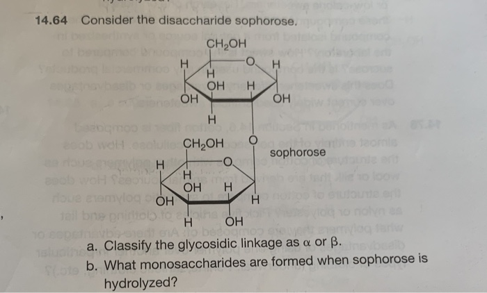 Solved 14.64 Consider the disaccharide sophorose. CH2OH H H | Chegg.com