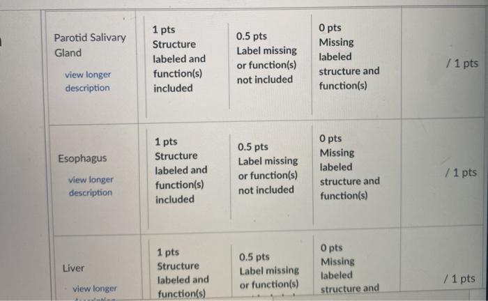 Solved Digestive Structures Rubric Criteria Ratings Pts 1 | Chegg.com