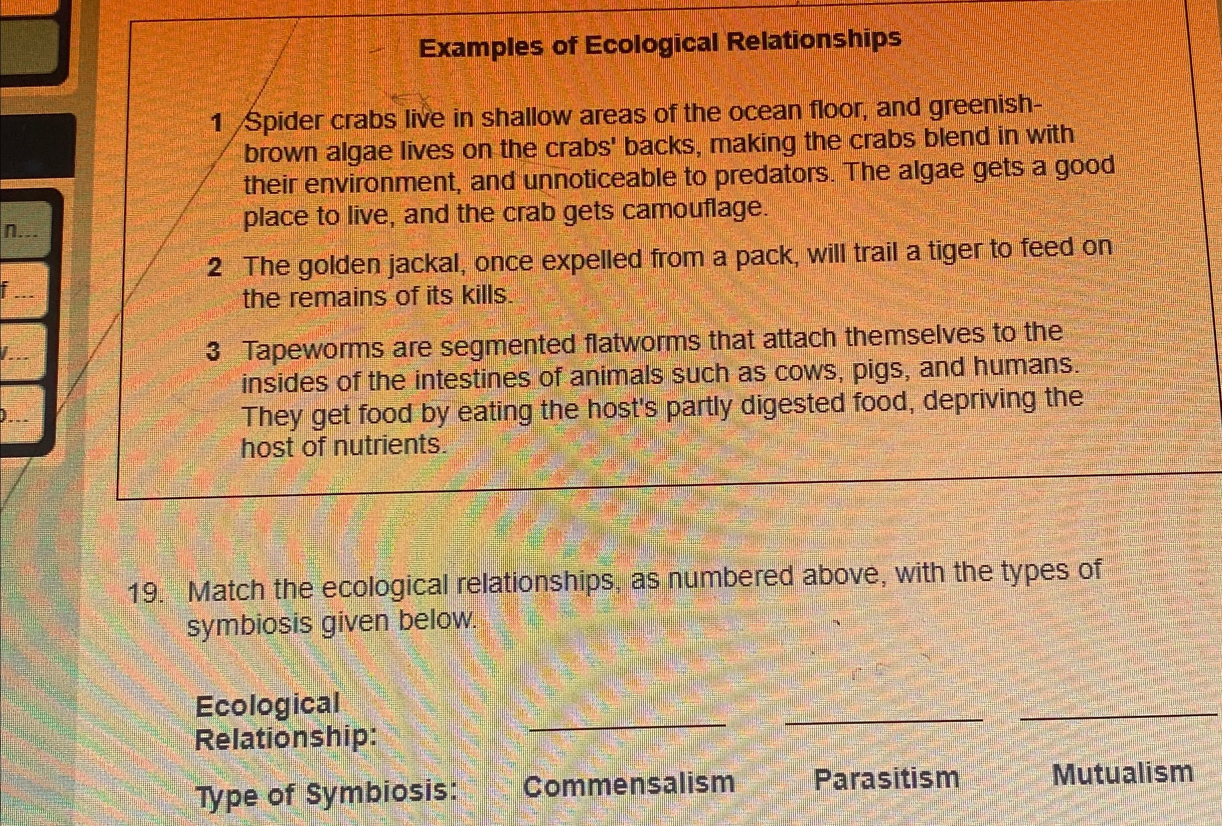 Solved Examples of Ecological Relationships1 ﻿Spider crabs | Chegg.com