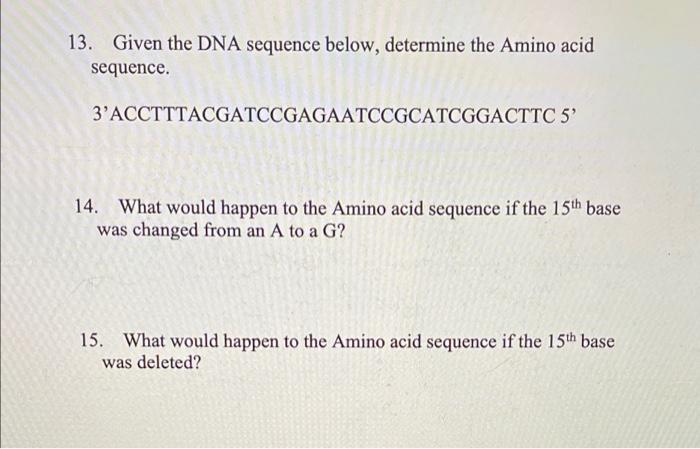Solved 13. Given the DNA sequence below, determine the Amino | Chegg.com