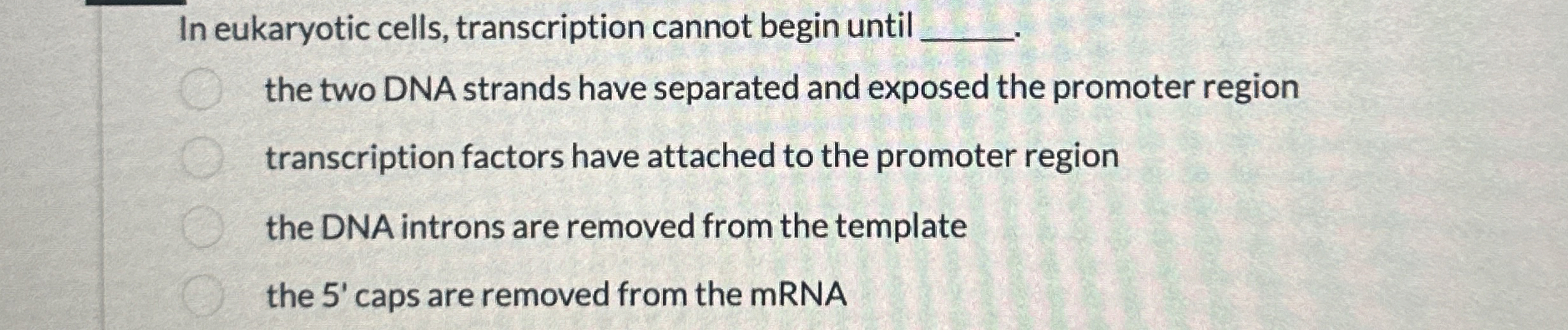 Solved In eukaryotic cells, transcription cannot begin until | Chegg.com