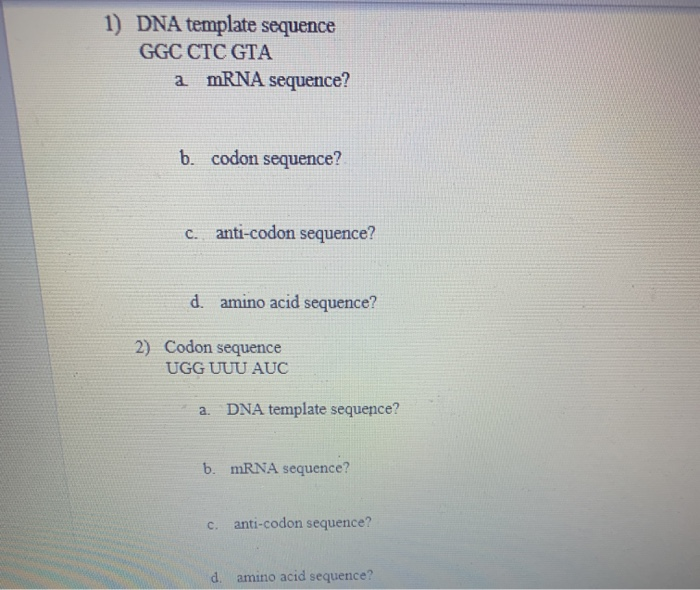Solved 1) DNA template sequence GGC CTC GTA a mRNA sequence? | Chegg.com