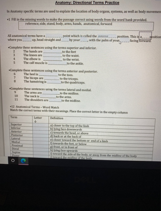 Solved Anatomy Directional Terms Practice In Anatomy Chegg Solved Anatomy Directional Terms Practice In Anatomy Chegg