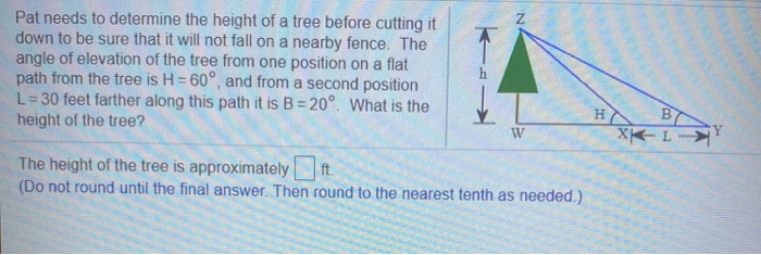 Solved Pat needs to determine the height of a tree before | Chegg.com