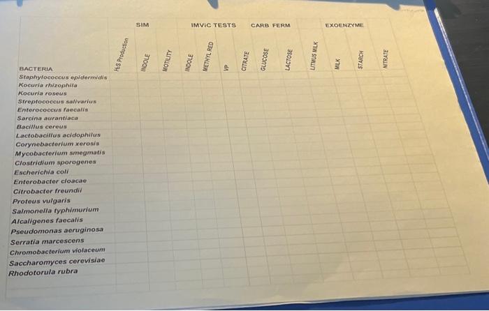 Solved need help fill in table thanks! | Chegg.com Solved need help fill in table thanks! | Chegg.com