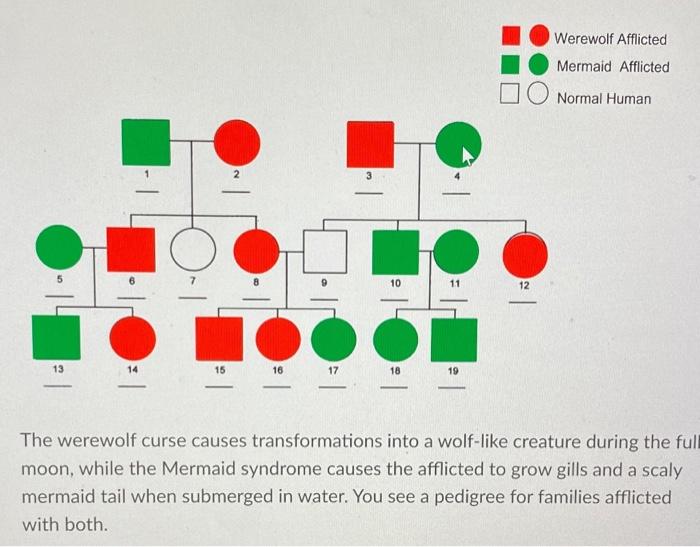 Solved 1. what is the mode of inhertance for the werewolf | Chegg.com