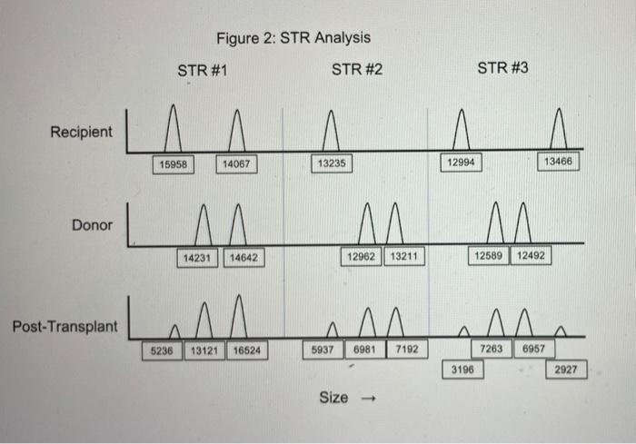 Solved 6. Short Tandem Repeats (STRs) can be used to monitor | Chegg.com