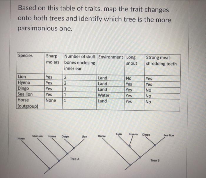 Solved Based on this table of traits, map the trait changes | Chegg.com