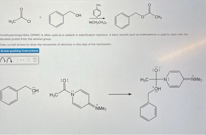 Solved The specific rotation, [o]p, for sucrose is +67. What | Chegg.com