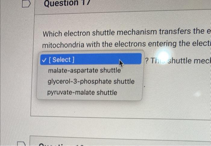 Solved Which electron shuttle mechanism transfers the | Chegg.com