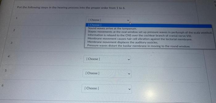 Solved Put the following steps in the fiearing process into | Chegg.com