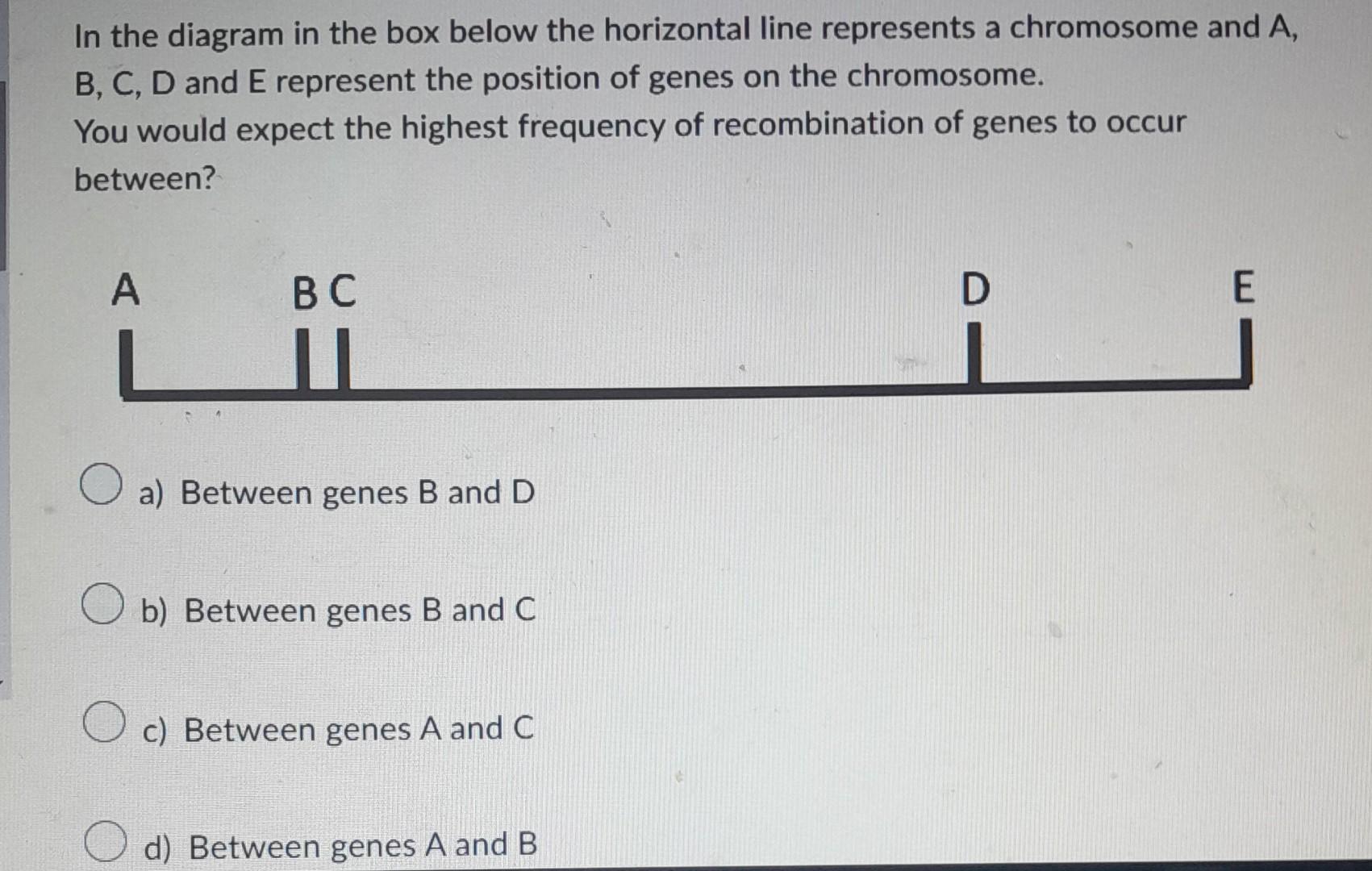 Solved In the diagram in the box below the horizontal line | Chegg.com