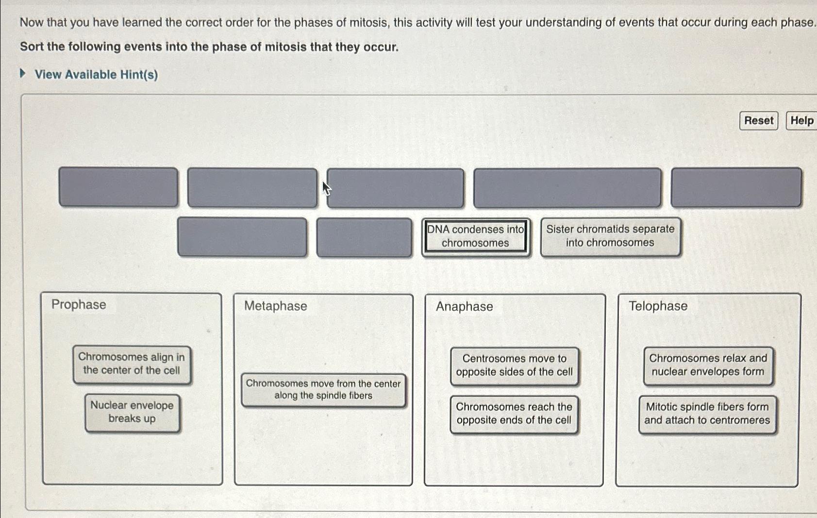 Solved Now that you have learned the correct order for the | Chegg.com