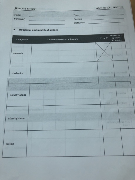 Solved REPORT SHEET: AMINES AND AMIDES Name Date Partner(s) | Chegg.com