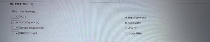 Solved QUESTION 12 Match the following PCR Pyrosequencing | Chegg.com