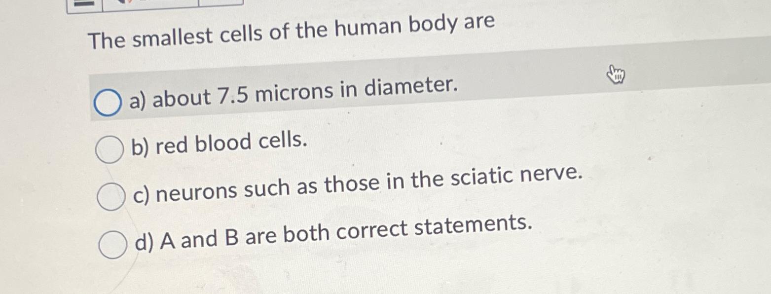 Solved The smallest cells of the human body area) ﻿about 7.5 | Chegg.com