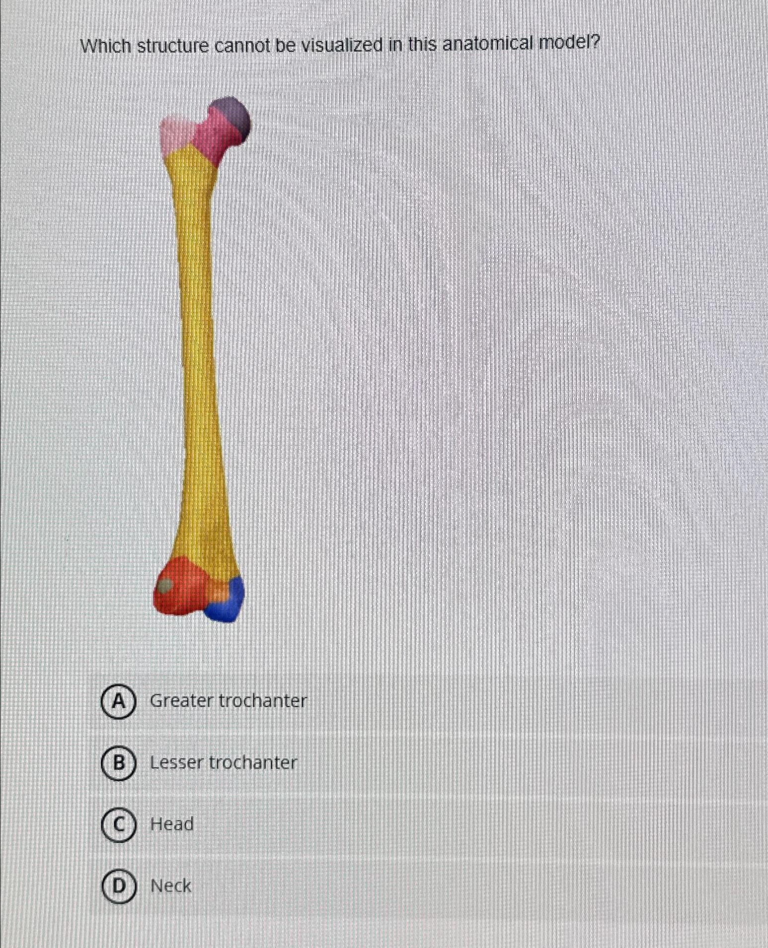 Solved Which structure cannot be visualized in this | Chegg.com