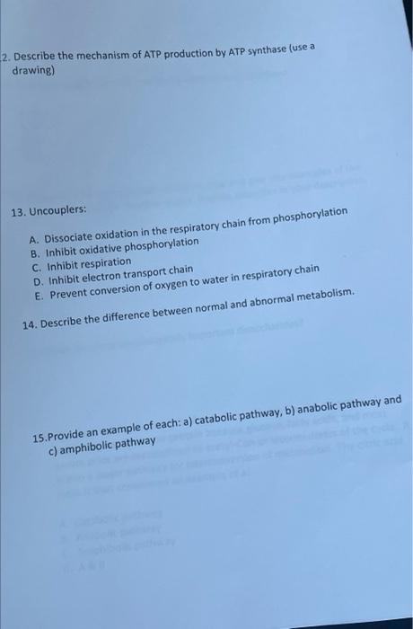 Solved 2. Describe the mechanism of ATP production by ATP | Chegg.com