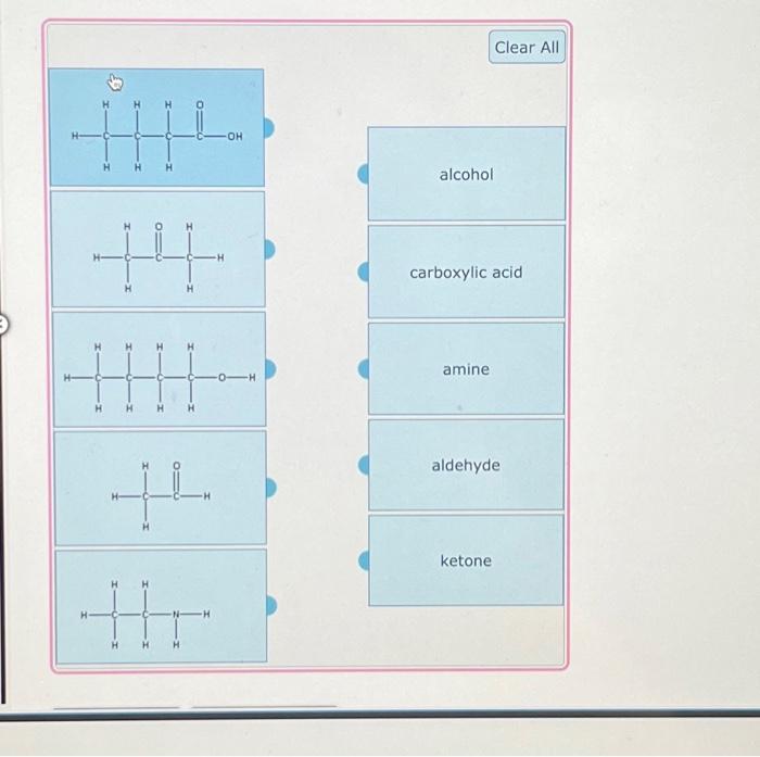 Solved H H H 州 H H H H H H = 山 H H H H = H ·OH 0- alcohol | Chegg.com
