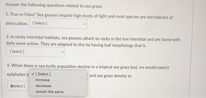 Solved Answer the following questions related to sea grass: | Chegg.com