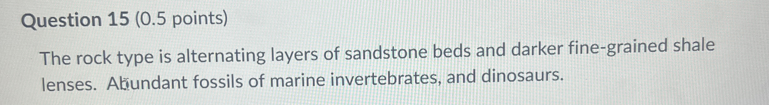 Solved Question 15 ( 0.5 ﻿points)The rock type is | Chegg.com
