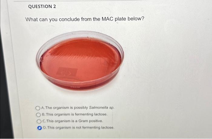 What can you conclude from the MAC plate below? A. | Chegg.com