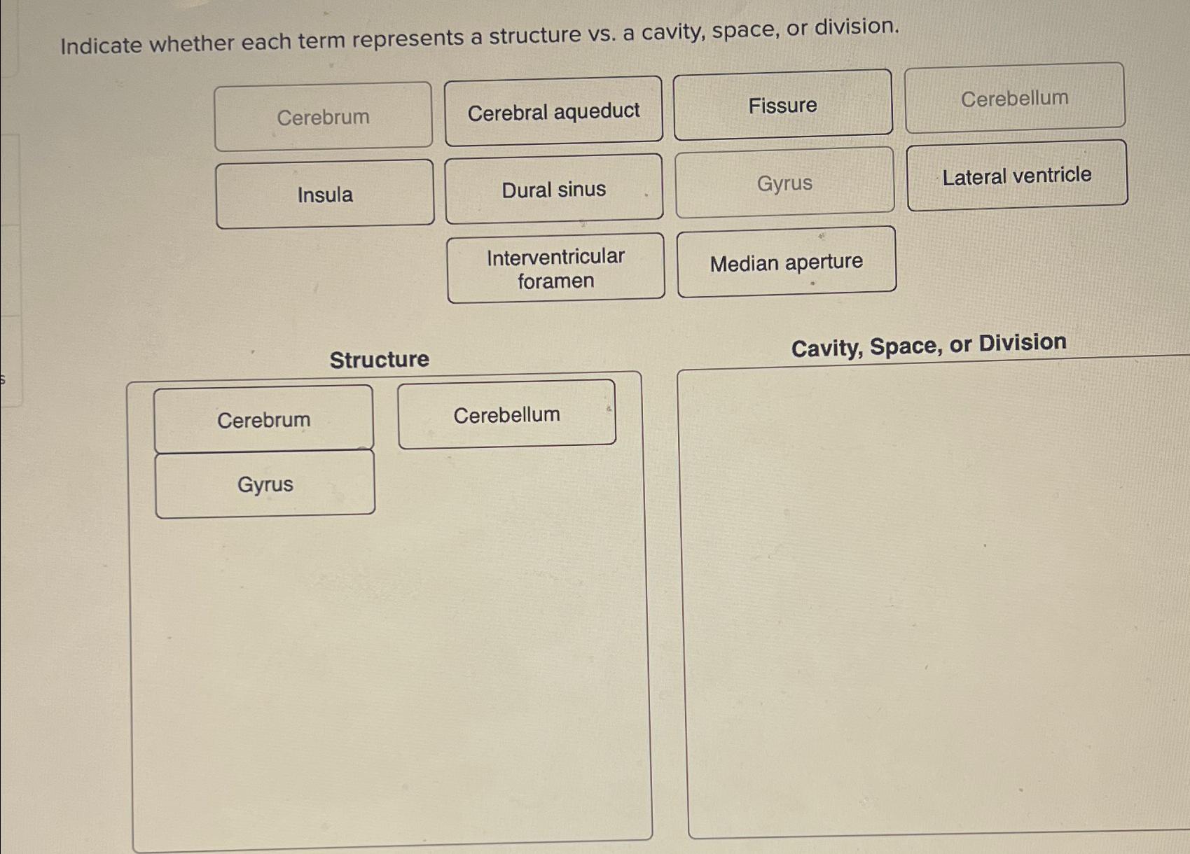 Solved Indicate whether each term represents a structure vs. | Chegg.com Solved Indicate whether each term represents a structure vs. | Chegg.com
