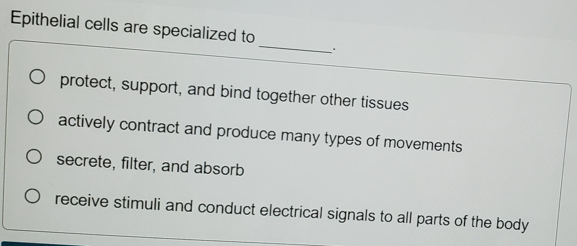Solved Epithelial cells are specialized toprotect, support, | Chegg.com