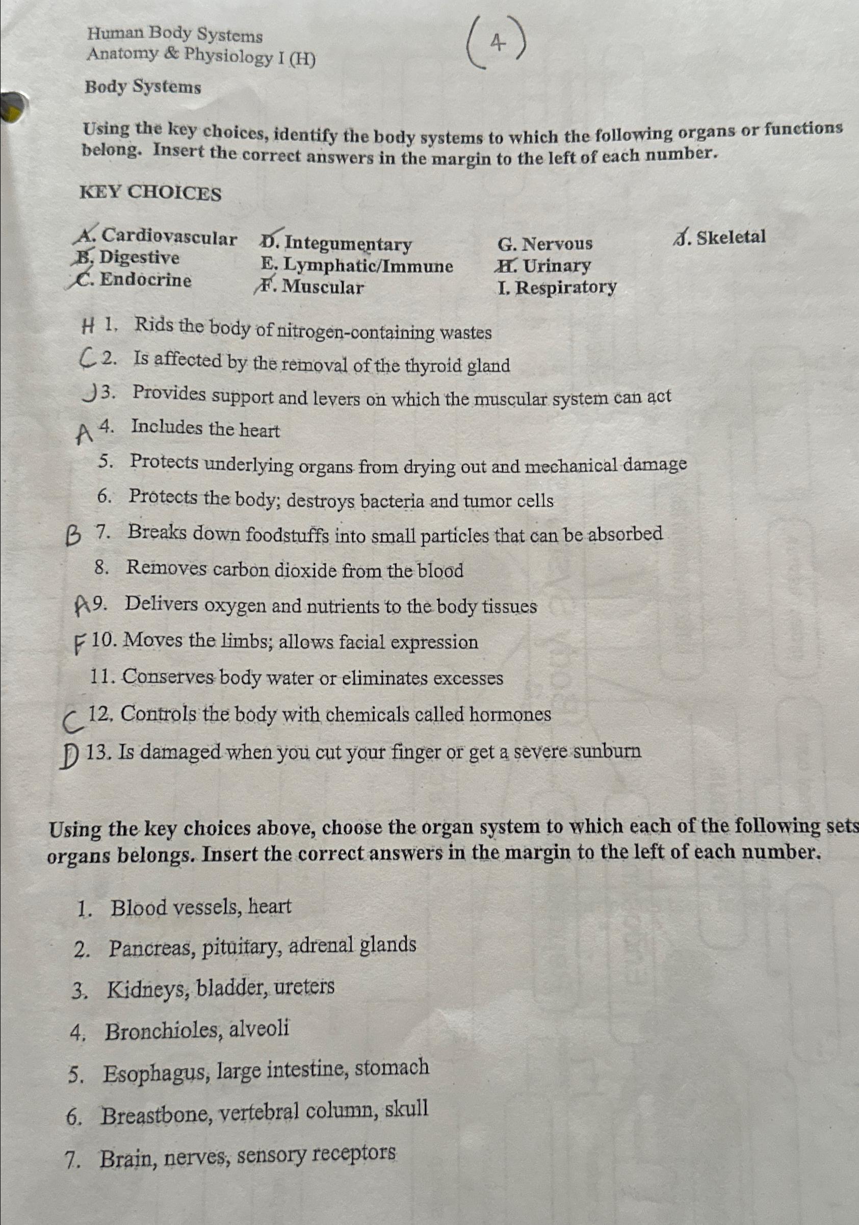 Solved Human Body SystemsAnatomy & Physiology I (H)Body | Chegg.com