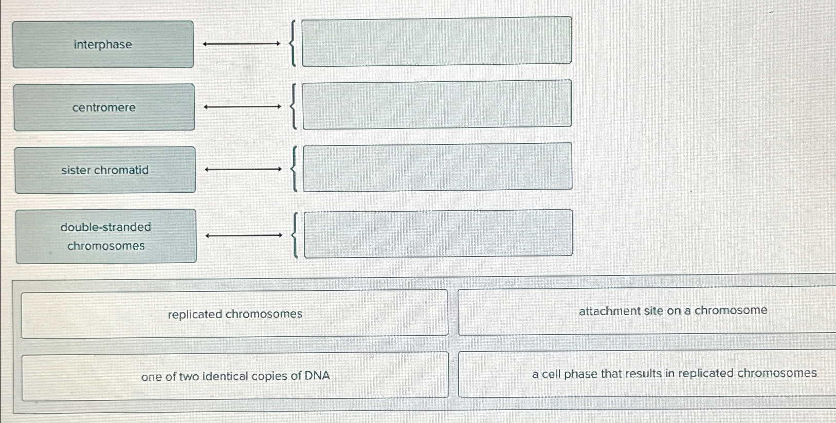 Solved replicated chromosomesattachment site on a | Chegg.com