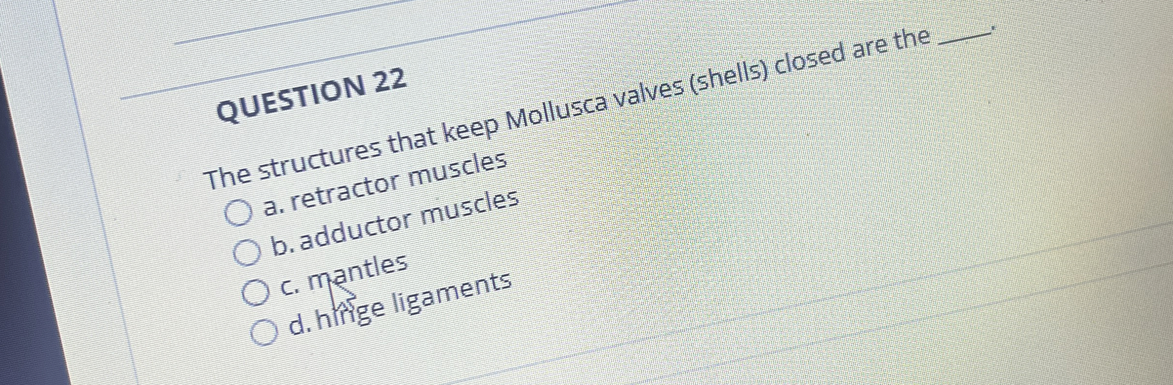Solved QUESTION 22The structures that keep Mollusca valves | Chegg.com