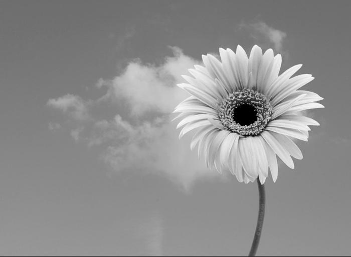 Solved Please Help Me I Hope To Find The Solution The