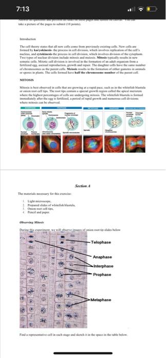 Solved 7:13 madty karyaiai பாராயணபாlைess suclear in the | Chegg.com