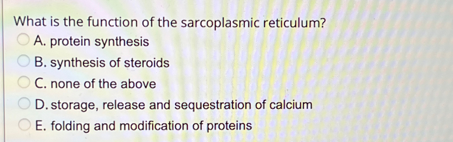 Solved What is the function of the sarcoplasmic reticulum?A. | Chegg.com