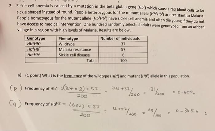 Solved 2. Sickle cell anemia is caused by a mutation in the | Chegg.com