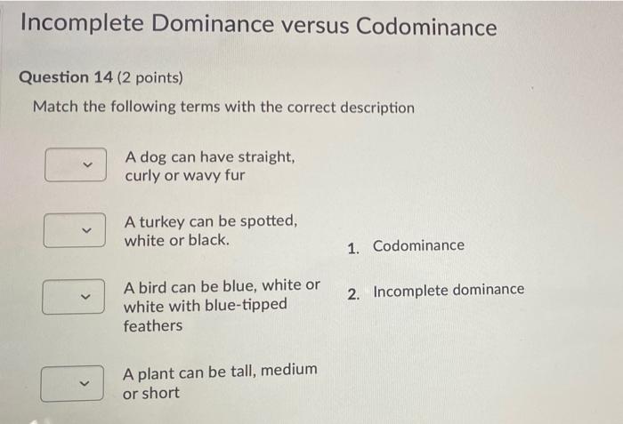 Solved Incomplete Dominance versus Codominance Question 14 | Chegg.com