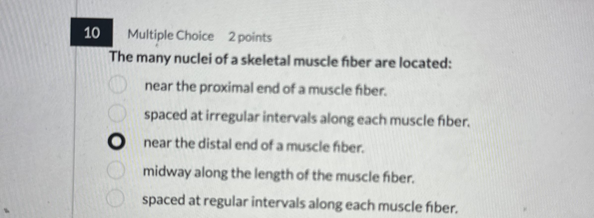 Solved 10Multiple Choice2 ﻿pointsThe many nuclei of a | Chegg.com