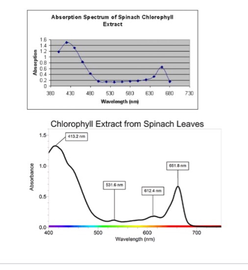 Solved a) Which wavelengths have peak absorbance values? To | Chegg.com