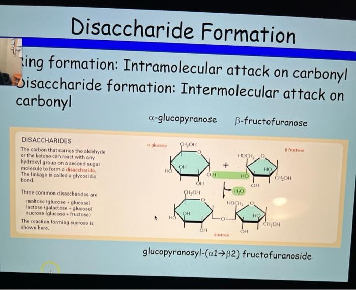Solved ing formation: Intramolecular attack on carbonyl | Chegg.com