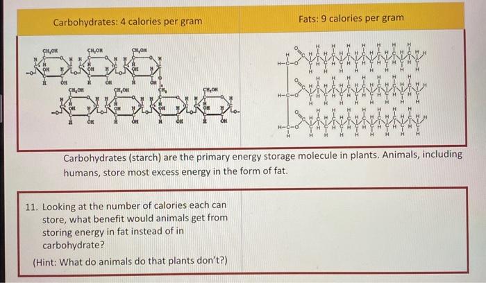 Solved Carbohydrates: 4 calories per gram Fats: 9 calories | Chegg.com