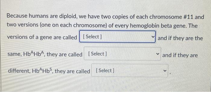 Solved Because humans are diploid, we have two copies of | Chegg.com