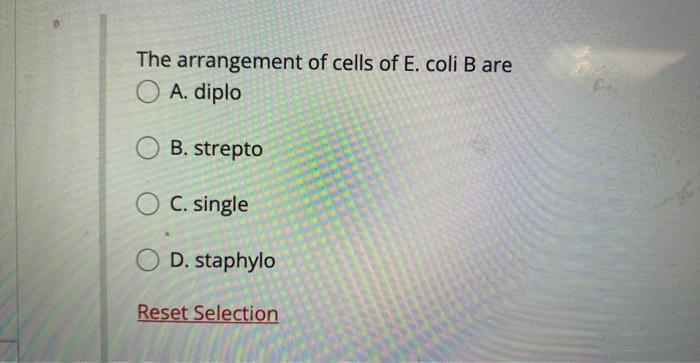 Solved The arrangement of cells of E. coli B are A. diplo B. | Chegg.com