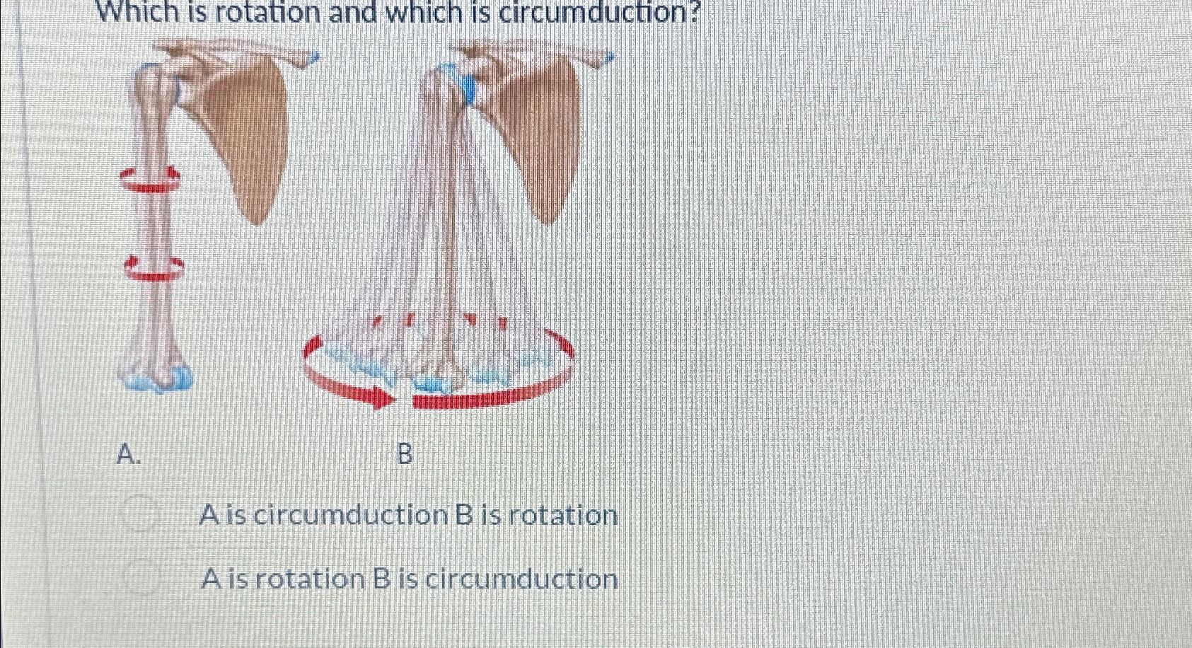 Solved Which is rotation and which is circumduction?A.BA ﻿is | Chegg.com