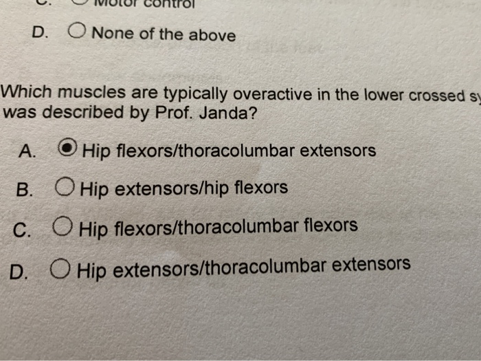 Solved C. MUIDF Control D. O None of the above Which muscles | Chegg.com