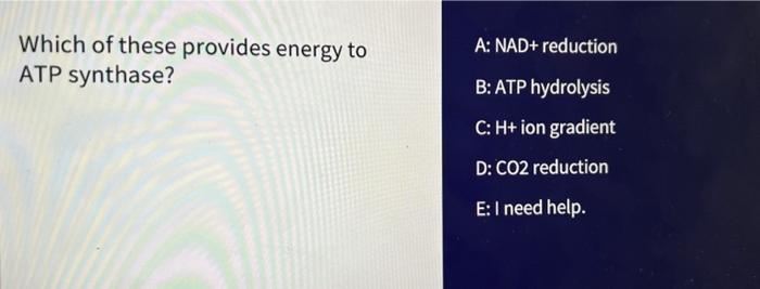 Solved Which of these provides energy to ATP synthase? | Chegg.com